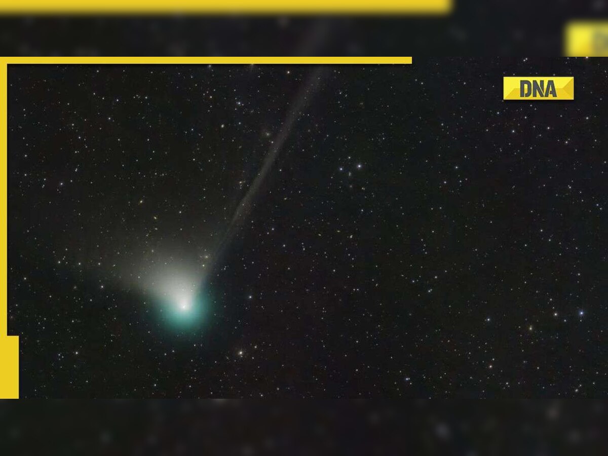 Something strange is happening with bright green comet's tail as it ...