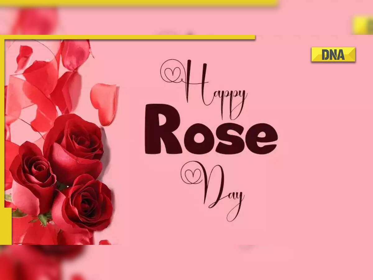 Happy Rose Day 2023: Significance of different coloured roses on 1st ...