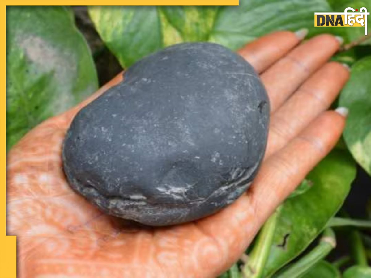 Shaligram Shila: धन-धान्य के लिए करें शालिग्राम की पूजा, मनचाहे ...