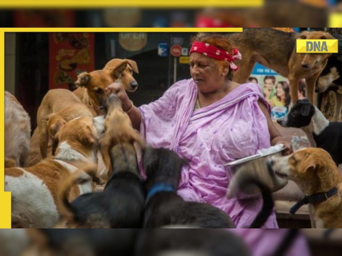 Meet Pratima Devi, Delhi's beloved 'Dog Amma', 80-year-old woman who ...