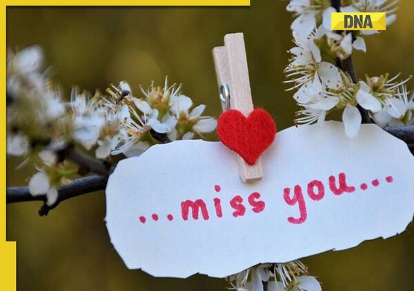 Happy Missing Day 2023: WhatsApp wishes, messages, quotes, facebook ...