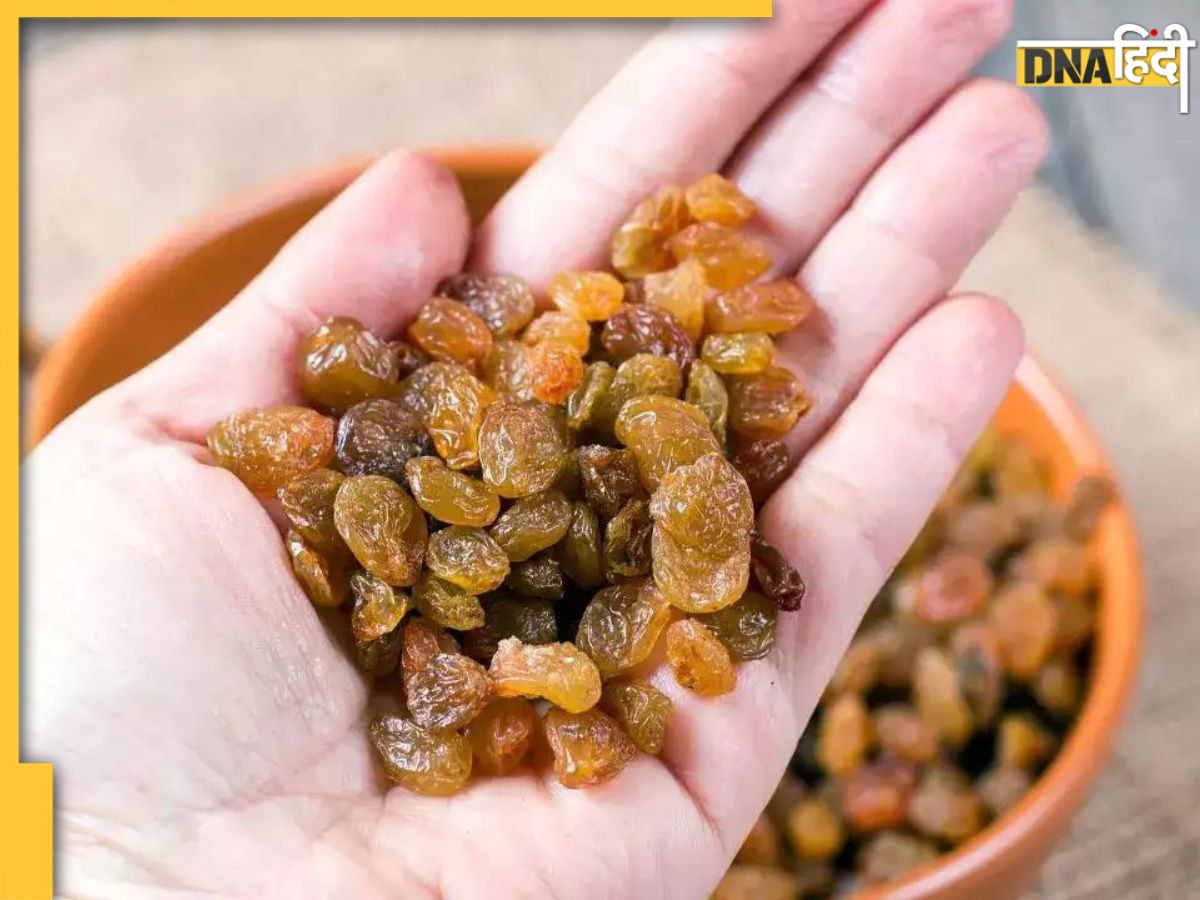 High Uric Acid: खून में बढ़ रहा यूरिक एसिड तो ये 5 फूड खाना कर दें बंद ...