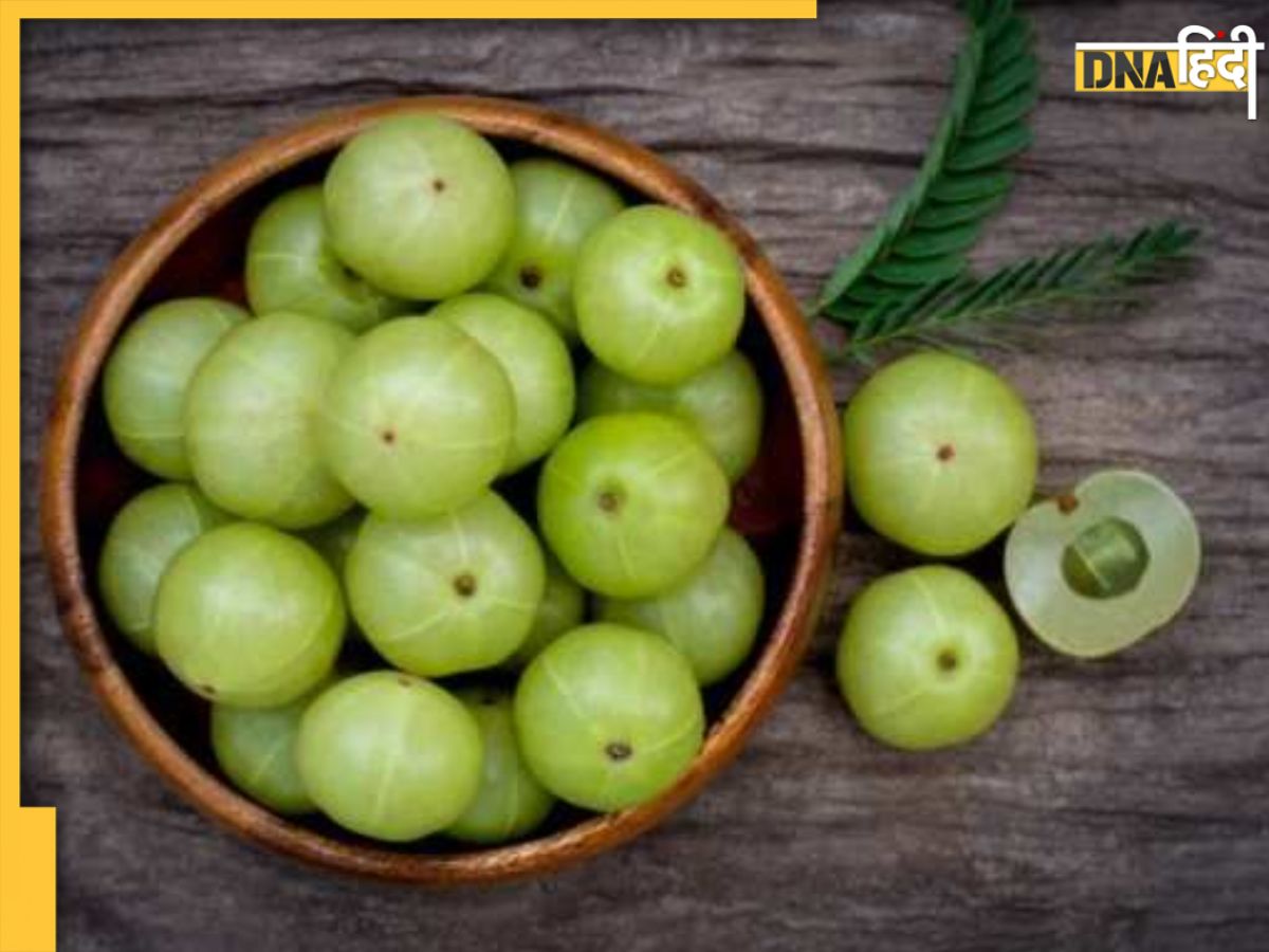 Side Effects Of Amla: इन 5 लोगों को भूलकर भी नहीं करना चाहिए आंवले का ...
