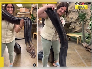 'Bahubali 2.0': Woman carries huge python all by herself, viral video ...