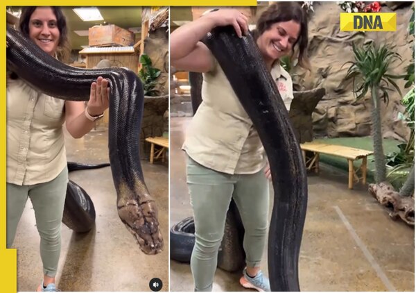 'Bahubali 2.0': Woman carries huge python all by herself, viral video ...