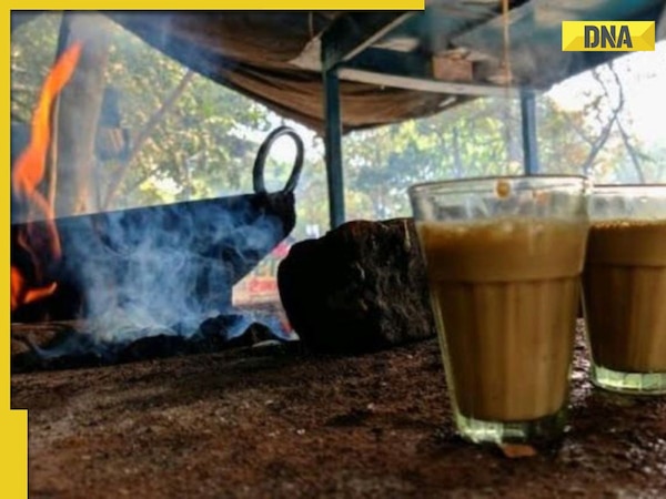Chai-Nomics: How tea stall owner earned 90 lakh per year? Post ...