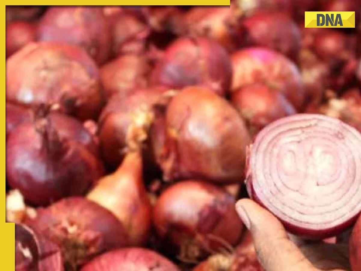 What is world onion crisis? Why Indian farmers are throwing away onion ...