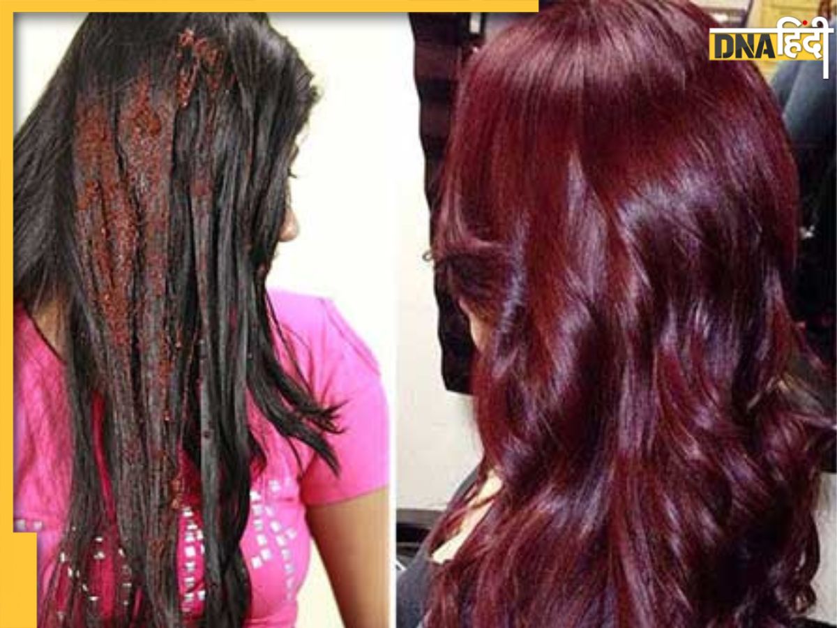 White Hair इन फूल-पत्तों से होंगे बरंगडी और काले, कुछ ही घंटों में सफेद ...