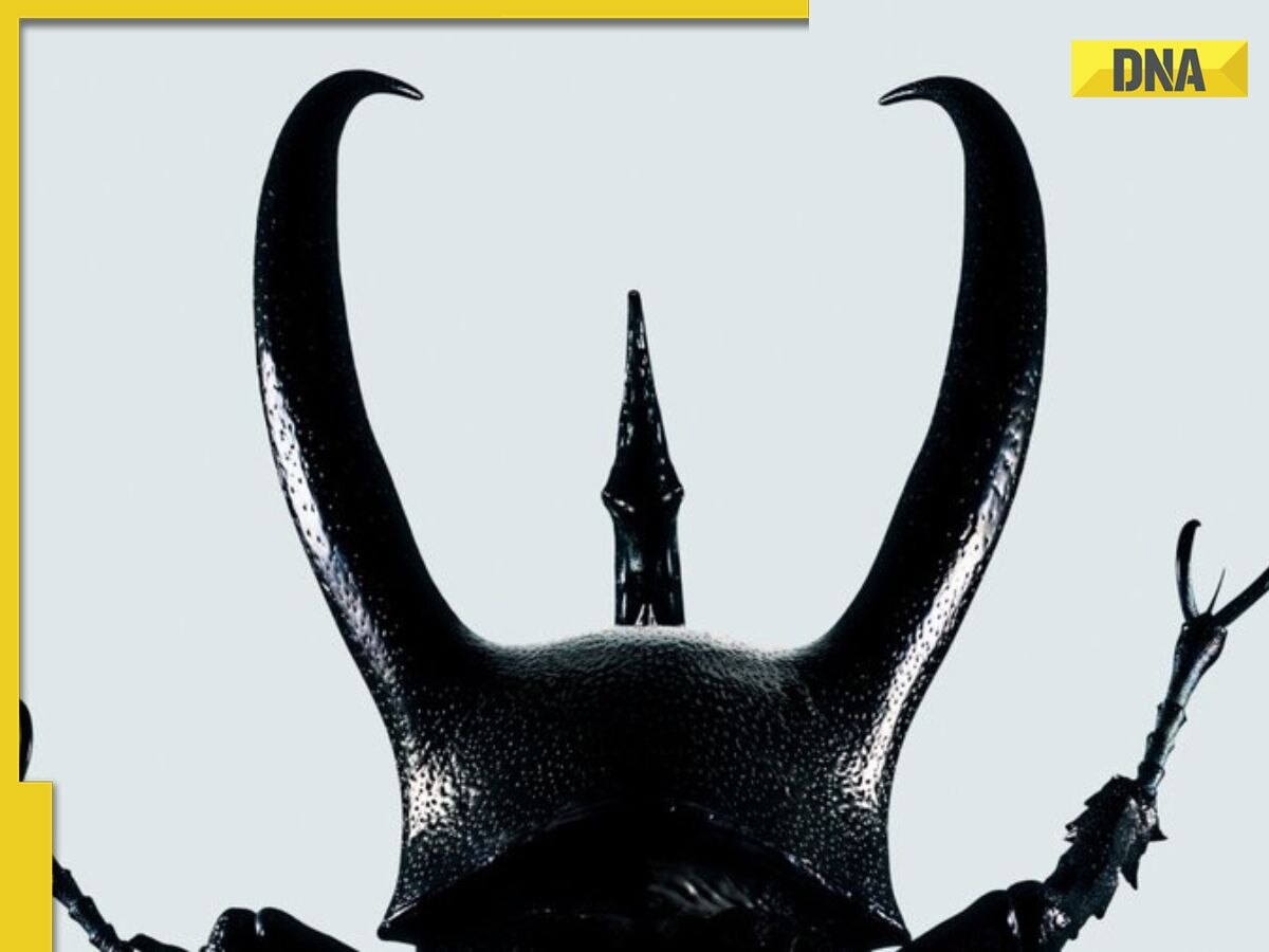 Nothing posts cryptic 'beetle' teaser for new product, here's what it means