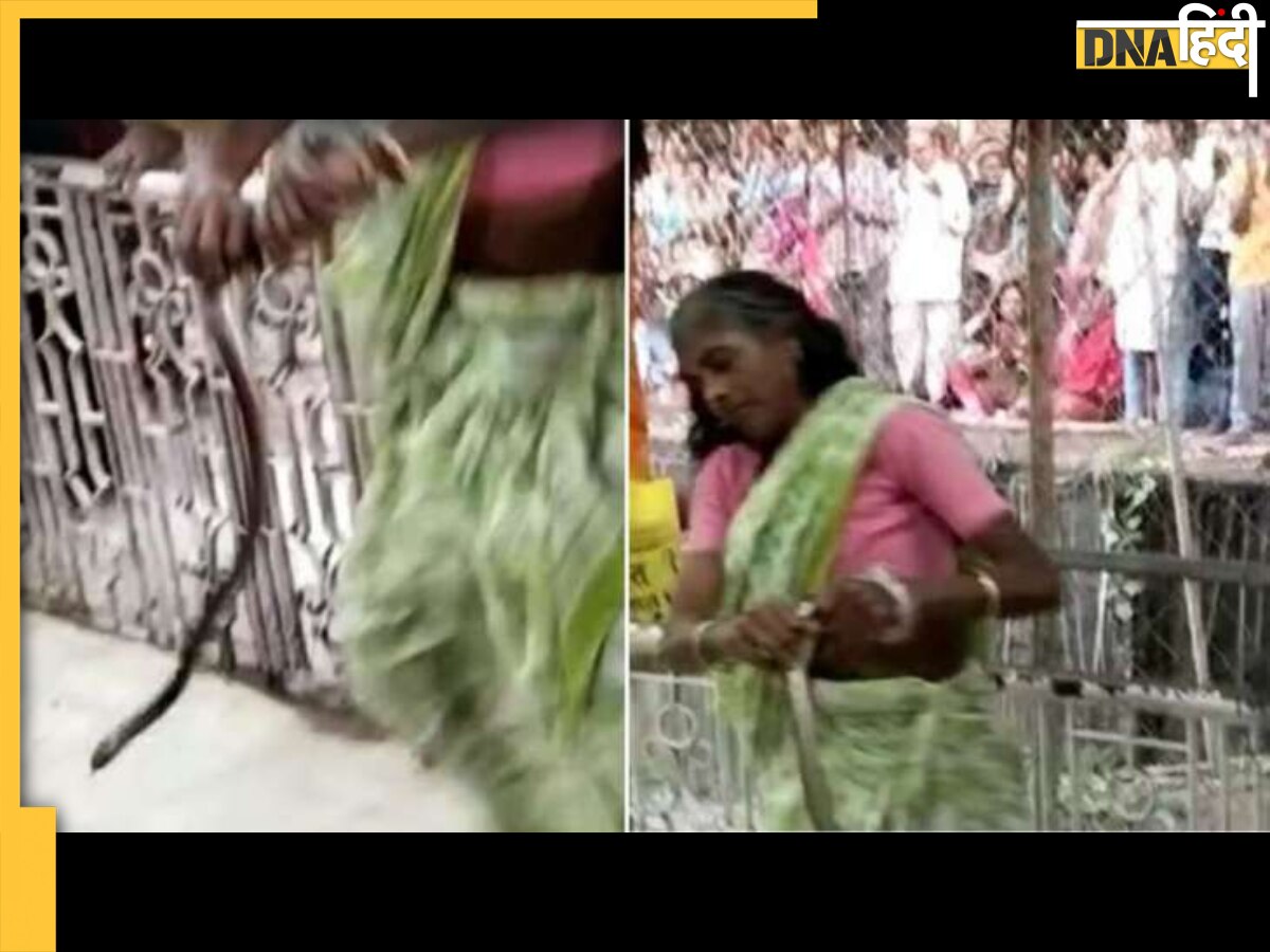 Snake in Hanuman Mandir: हनुमान जी की आरती में पहुंचा सांप, देखें फिर ...