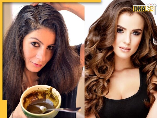 Black Hair Mask सफेद बालों पर लगाना शुरू कर दें ये हर्बल हेयर मास्क
