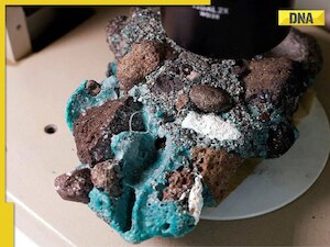 Scientists discover plastic rocks on Trinidad Island, highlight ...