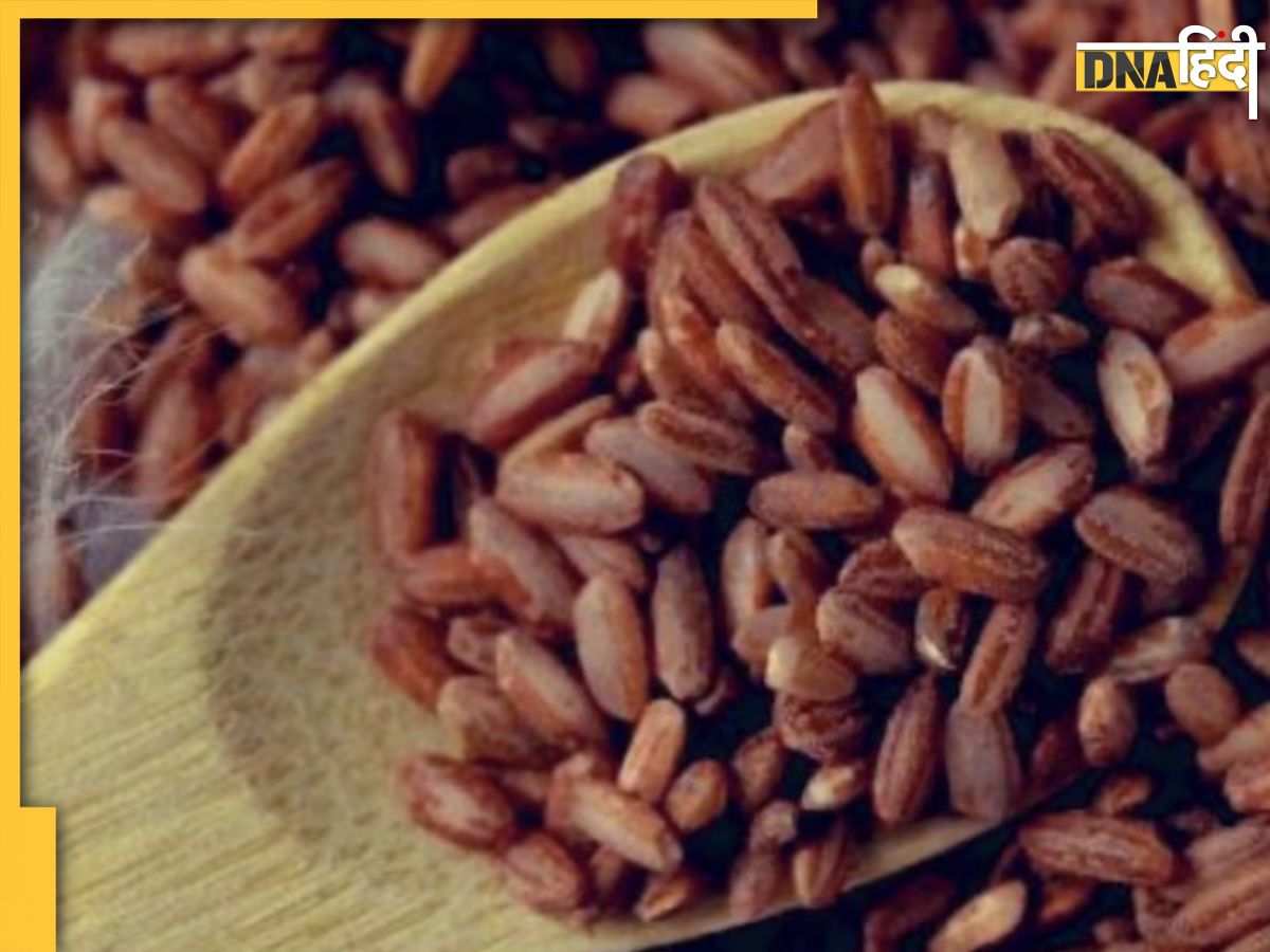 Most Expensive Rice: इस चावल को खाने वाले 80 साल तक रहते हैं जवान, एक ...