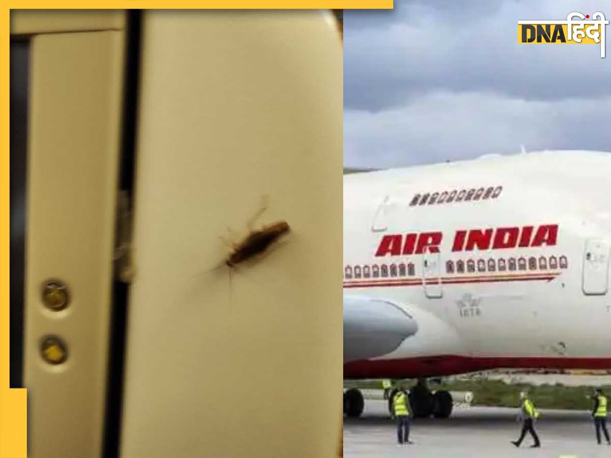'Air India फ्लाइट में कॉकरोच, टूटी सीट और जहरीला स्प्रे' न्यूयॉर्क से ...