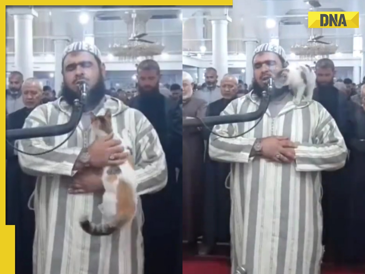 Watch: Cat jumps on Imam as he recites Ramadan prayers, viral video ...
