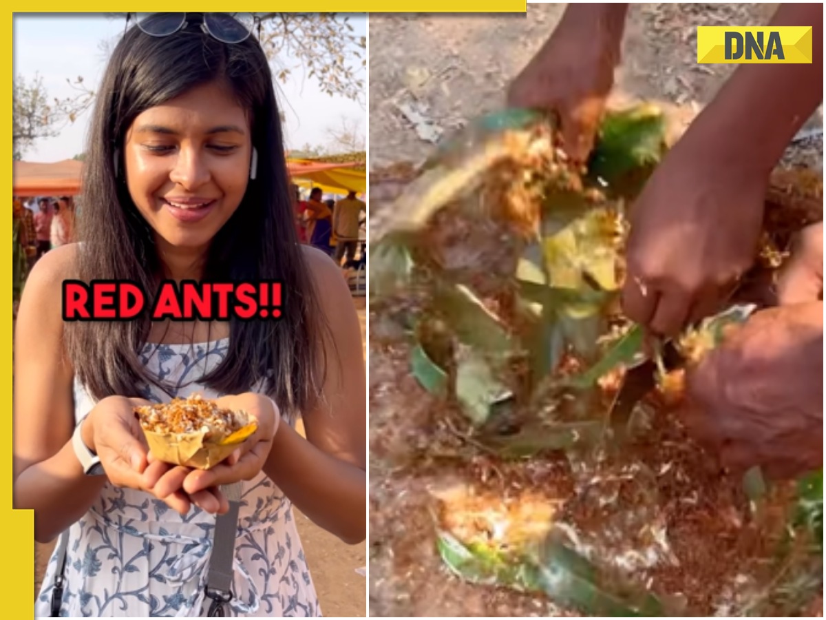 Viral video: Influencer tries 'Red Ant Chutney' in Chhattisgarh's ...