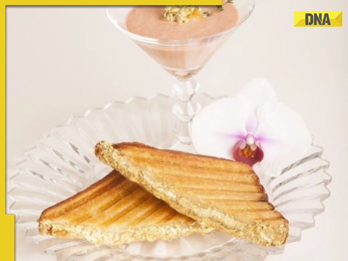 New York restaurant re-launched the world's most expensive sandwich, it ...