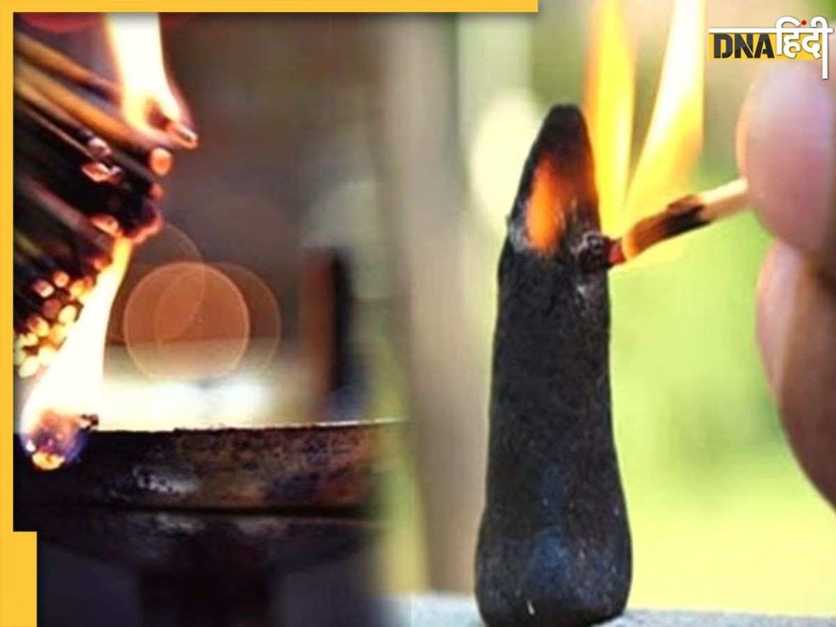 Dhoop Batti: कंडे और सूखे फूलों से बनाएं धूप, हाथों से बनी धूप से करें ...