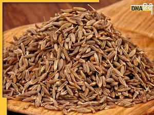 आपकी थाली से गायब हो सकता है ये मसाला, पहली बार 50 हजार रुपये पहुंचे दाम