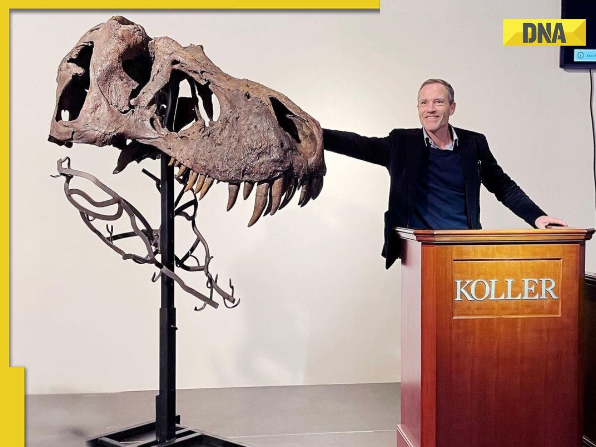 Viral: 67 million year old T-Rex skeleton goes on auction, sells for Rs ...
