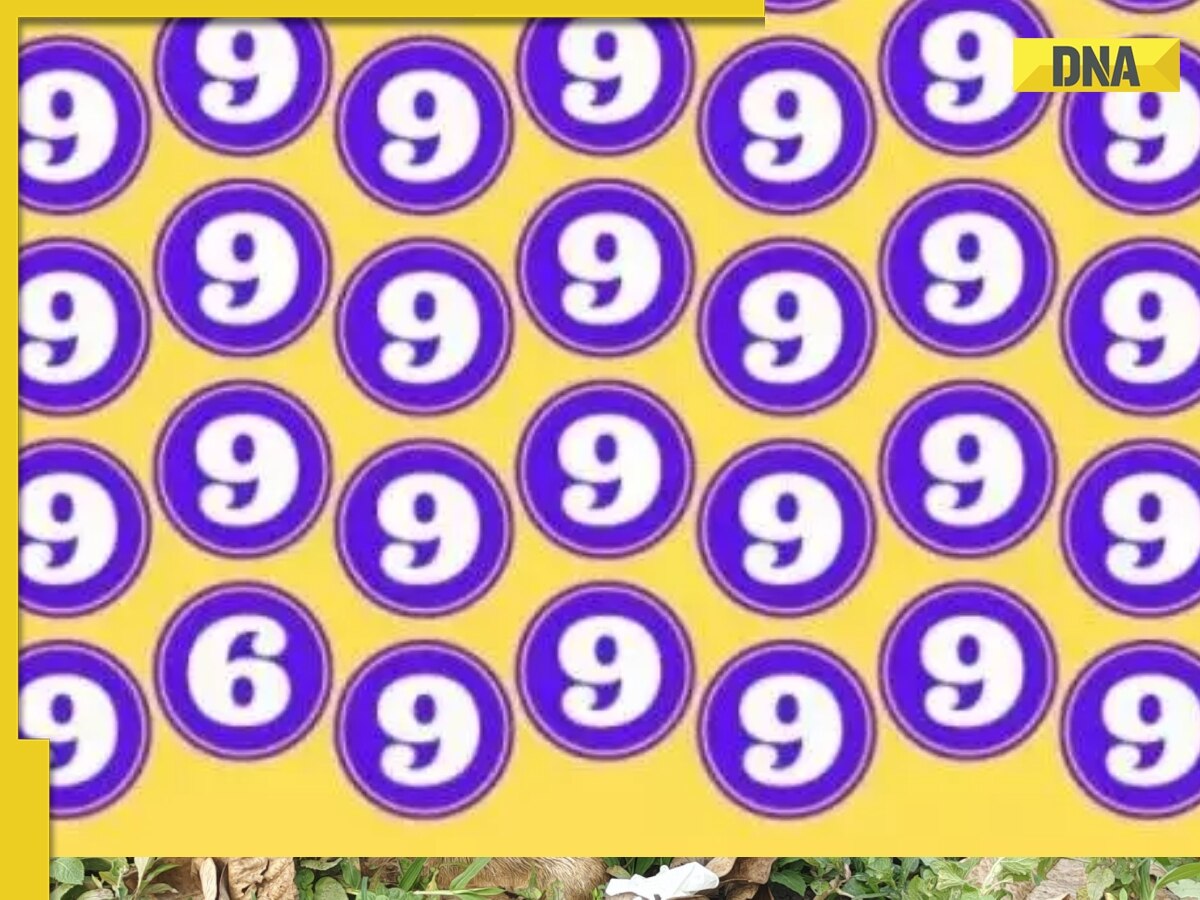 Optical illusion: Only a person with high IQ can spot the number 6 in ...