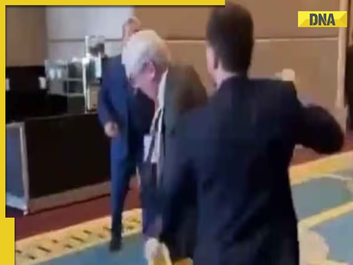 Ukrainian MP punches Russian official in face at Turkey summit, viral ...