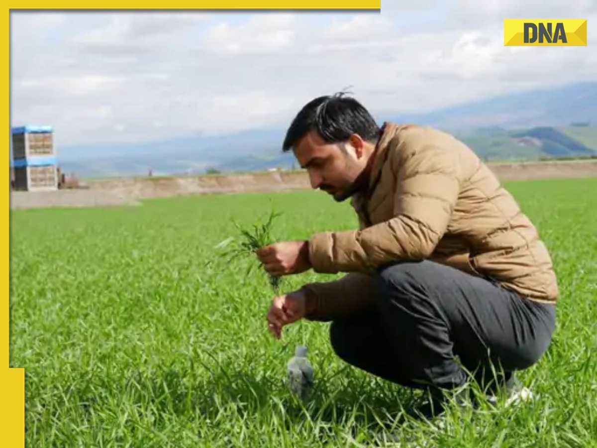 Meet Narayan Lal Gurjar, started business with orange-banana peels, now ...