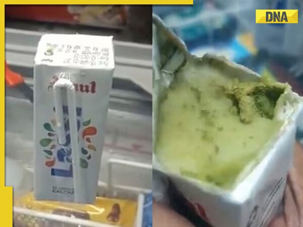 DNA Verified: Viral video showing fungus on Amul Lassi packets fake ...