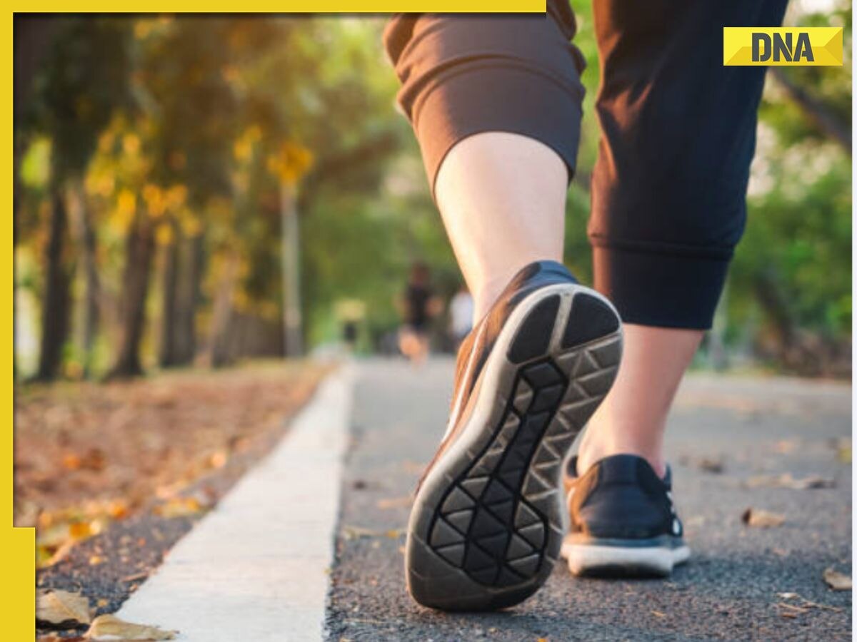 Regular walking boosts brain connectivity, memory in older adults