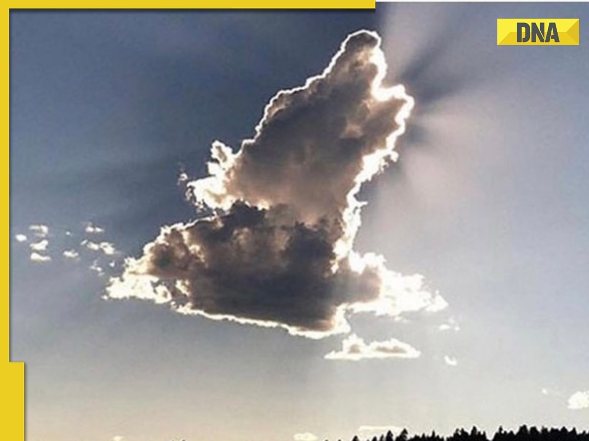 Optical illusion: What does this cloud look like to you?