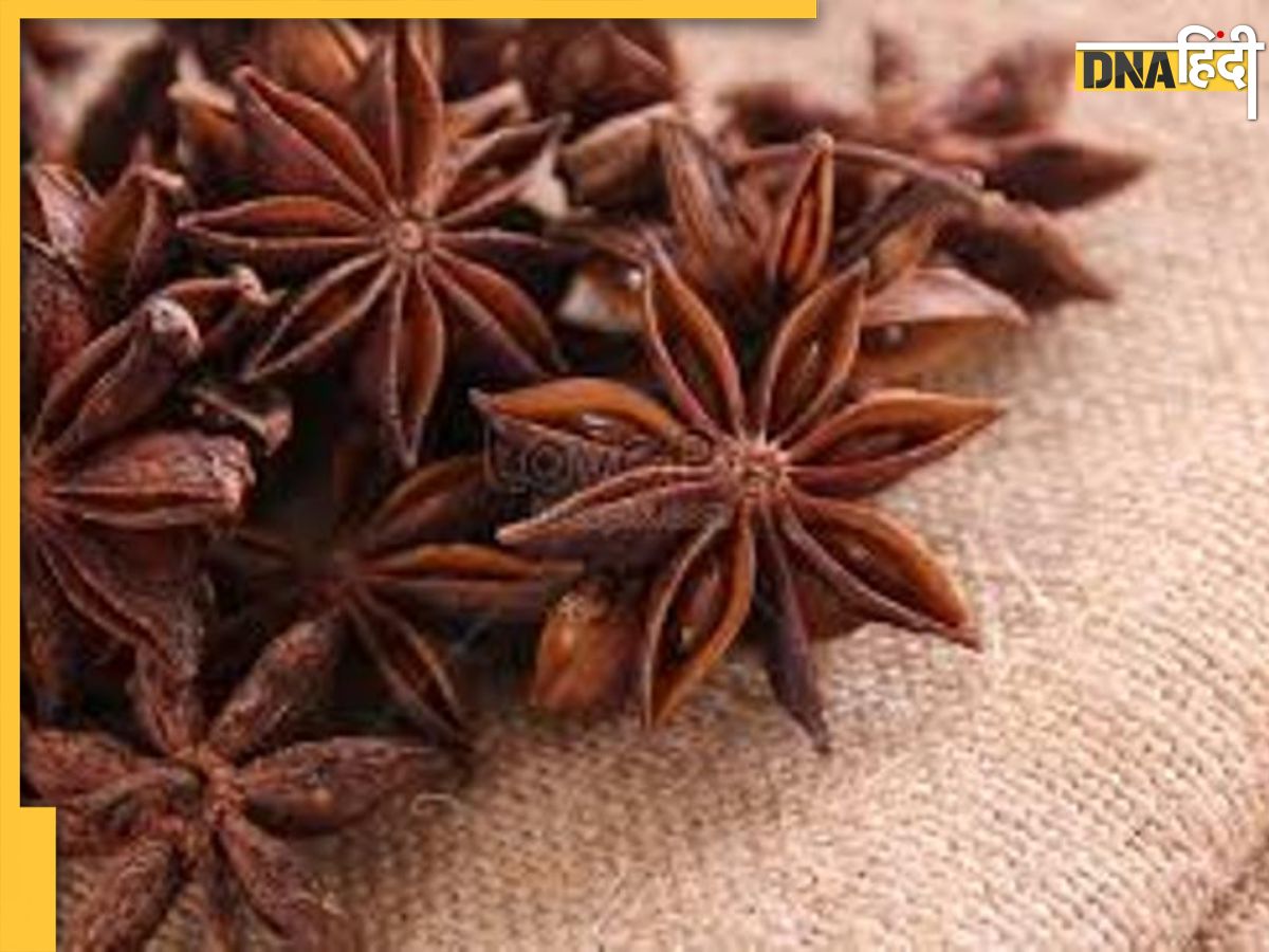 Chakra Flower Benefits: मुंह के छालों से पेट की सूजन तक को कम कर देता ...