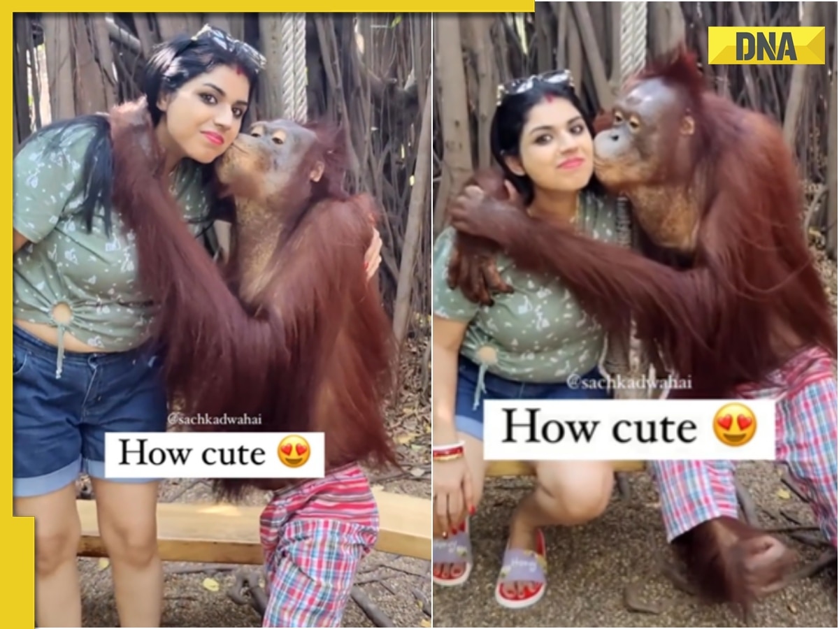 Watch: Adorable photo session between monkey and woman goes viral ...