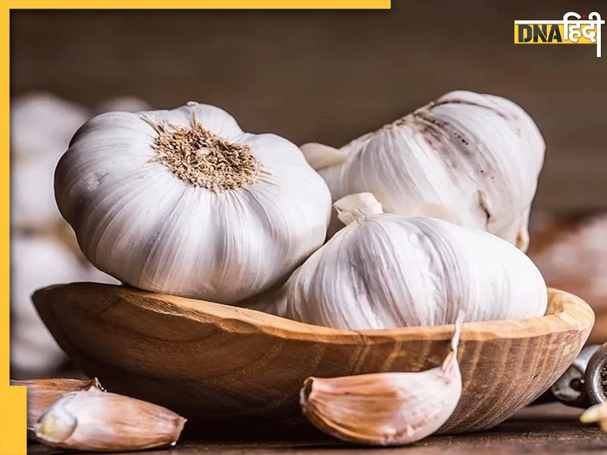 Lahsun Ke Totake: लहसुन के इन 5 उपाय को करते ही बढ़ जाएगी बरकत, घर से ...
