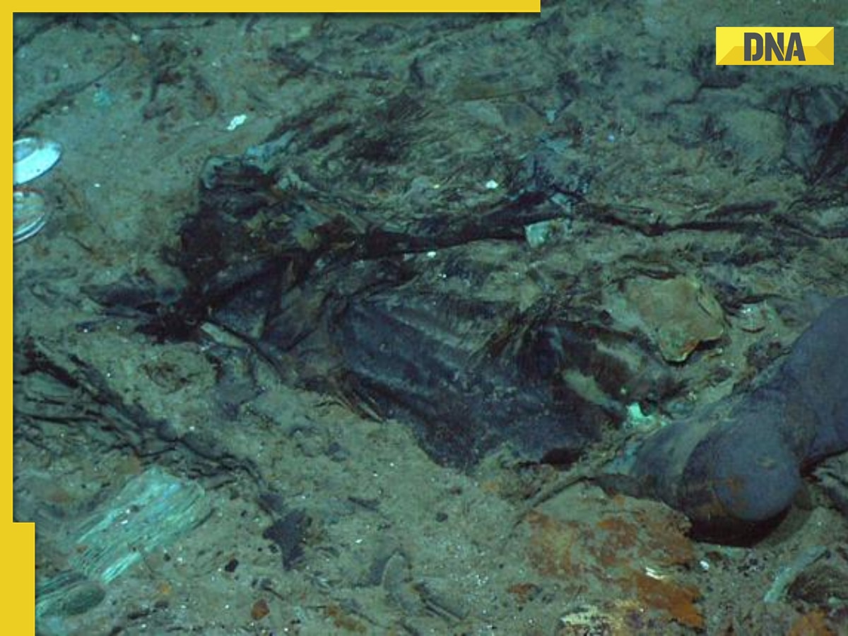 DNA Verified: Photos of Titanic submarine implosion revealed? Truth ...