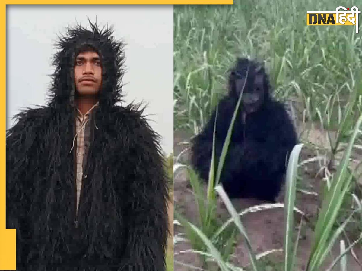 बंदर भगाने के लिए खुद ही भालू बन रहे लखीमपुर खीरी के किसान, वायरल हुईं ...