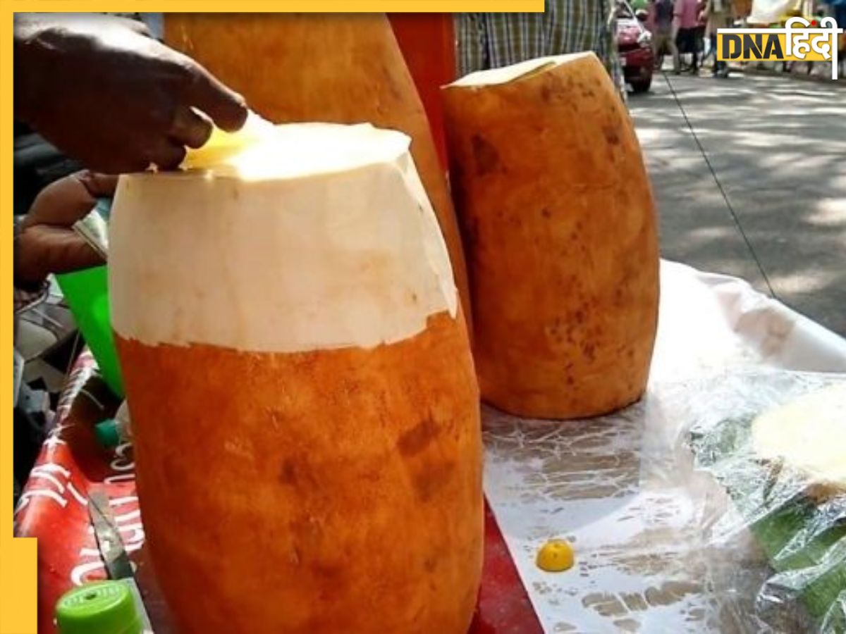 Ram Kand Mool Benefits: गठिया, जोड़ों के दर्द और सूजन में फायदेमंद है ...