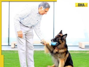 Ratan Tata shares heartwarming tweet about stray animals, reflects his ...