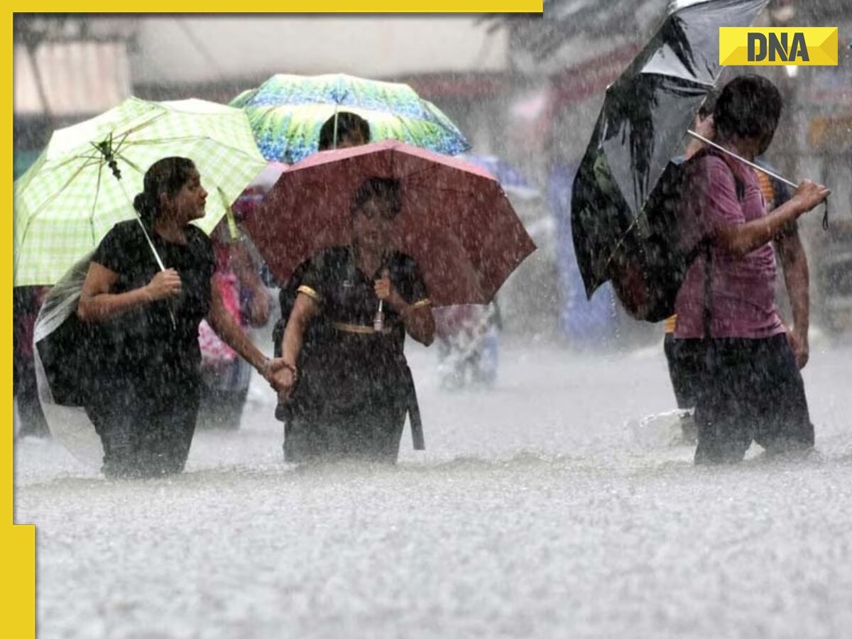 Maharashtra weather update: Excessive rainfall to lash Raigad, IMD ...