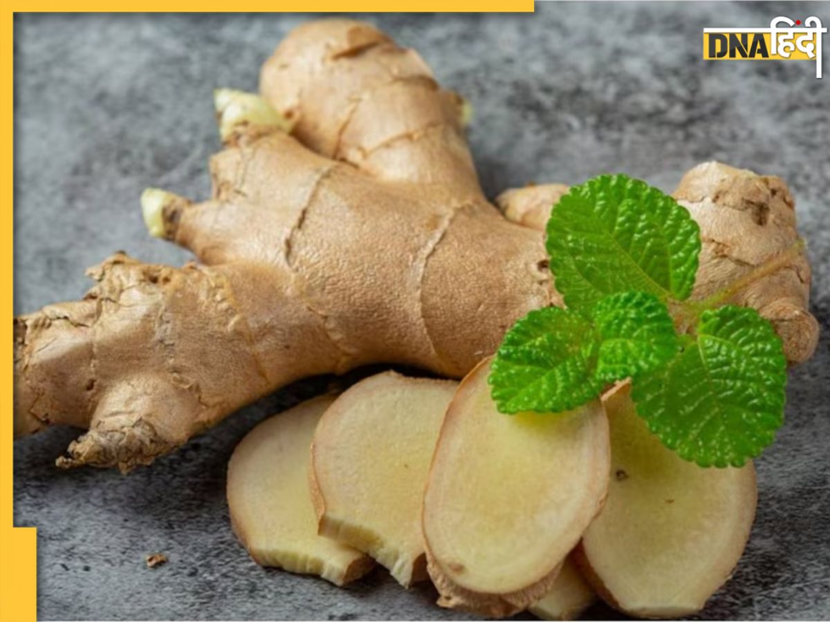 Adrak For Weight Loss: वजन घटाने में अदरक करेगा आपकी मदद, इन 3 स्पेशल ...