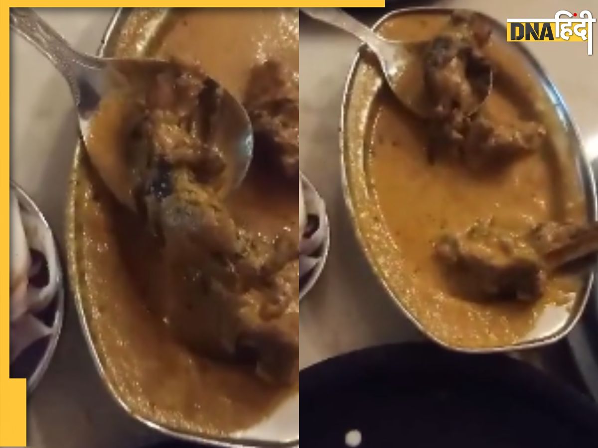 चिकन करी में निकला मरा हुआ चूहा, लुधियाना में ढाबा मालिक के खिलाफ दर्ज ...