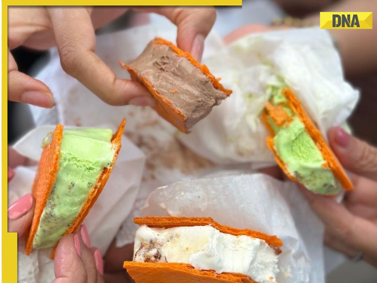 Deepika Padukone enjoys this yummy ice cream sandwich, here's how to ...