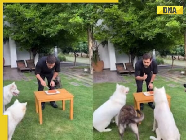 Inside MS Dhoni, Sakshi Dhoni’s pet family: Exotic horses, pack of dogs ...