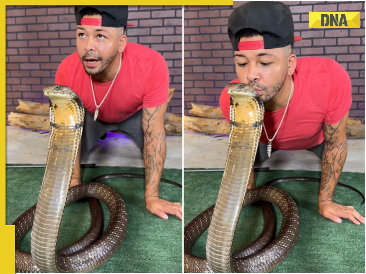 Viral video: Fearless man kisses massive king cobra on head, netizens react