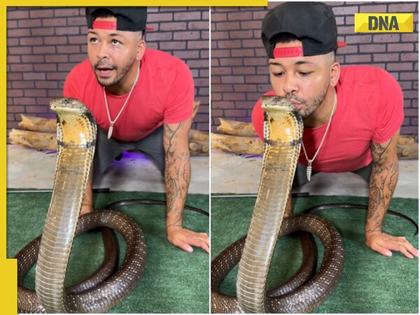 Viral video: Fearless man kisses massive king cobra on head, netizens react