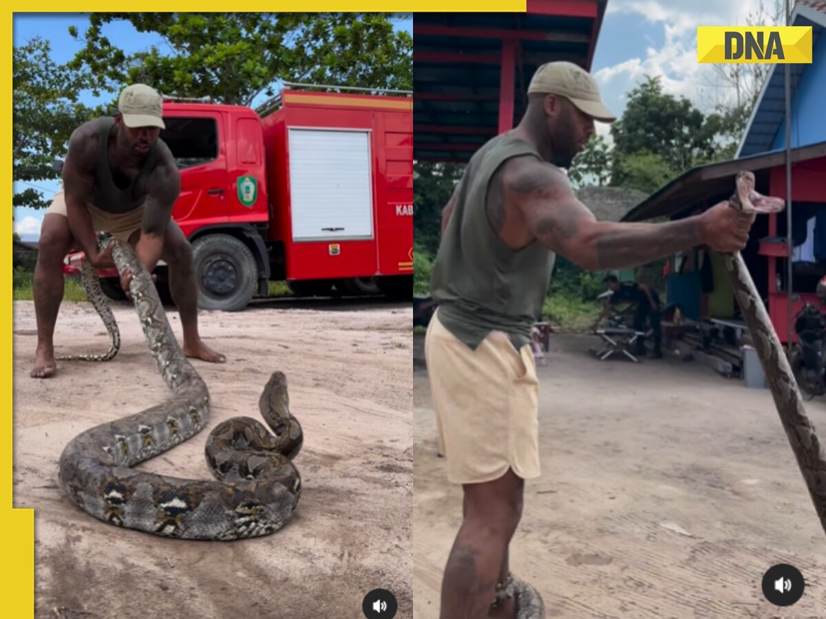 Viral video: Man provokes massive python, faces backlash for reckless ...
