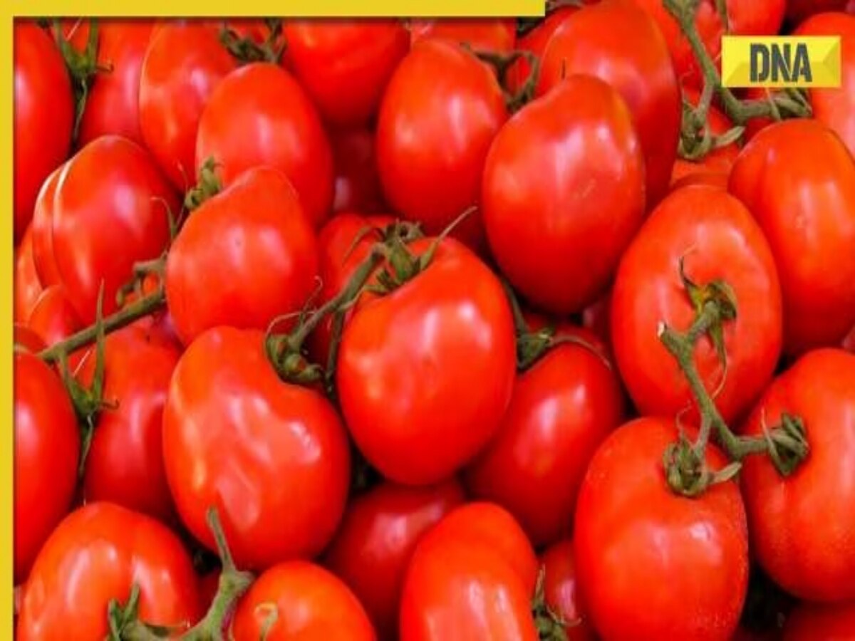 Delhi-NCR news: Tomatoes at discount price of Rs 90 per kg in these places