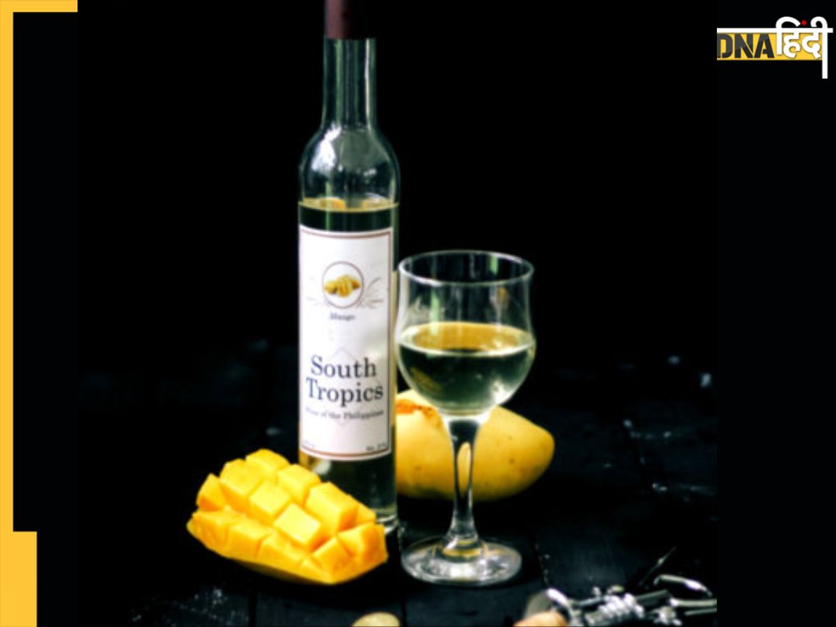 Mango Wine: आम से बनी ये वाइन एंटी-एजिंग से लेकर हार्ट तक के लिए है ...