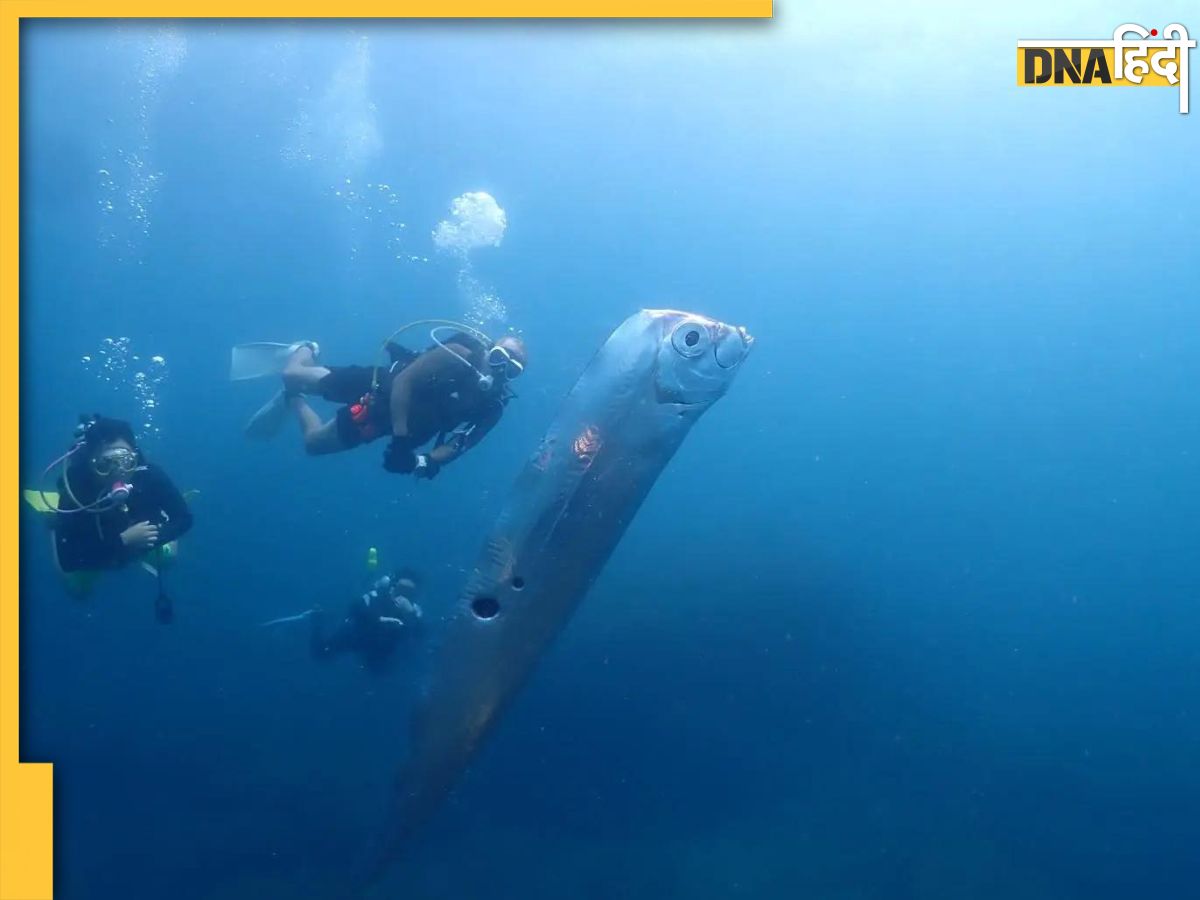 गोताखोरों को समुद्र मिली 'कयामत की मछली', दुर्लभ फिश देख उड़ जाएंगे ...