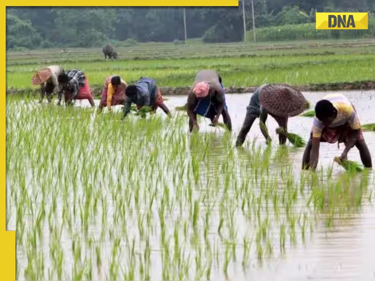 PM Kisan Yojna's 14th installment to be released on this date; check ...