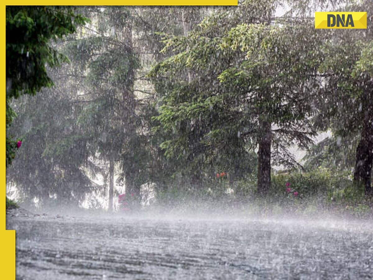 IMD issues 'red' and 'orange' alerts amid heavy rainfall for several ...